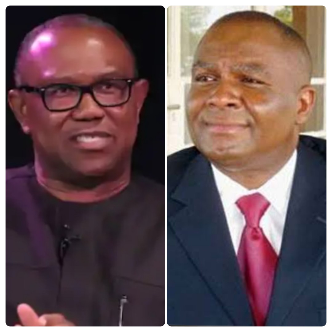 Senator Nnamani Knocks Peter Obi's Supporters - Famous People Magazine